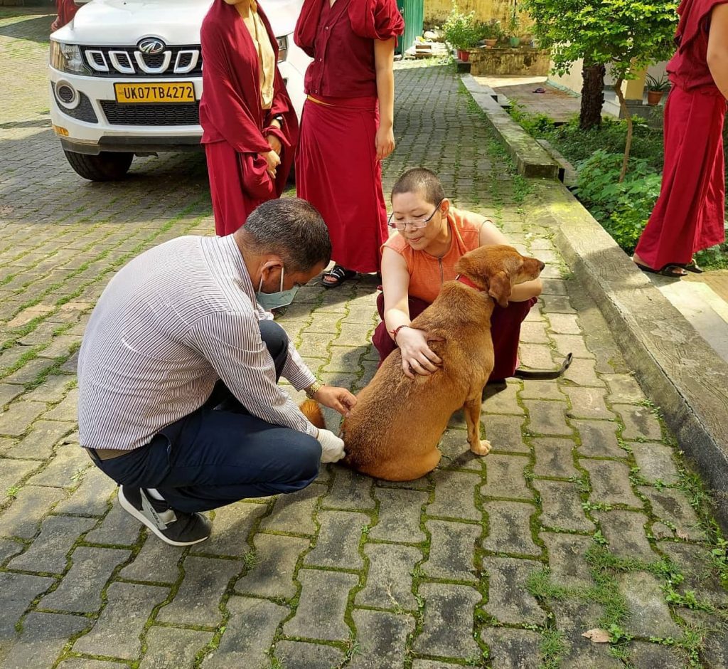 The Department of health observed World Anti-rabies Day – Tibetan Health