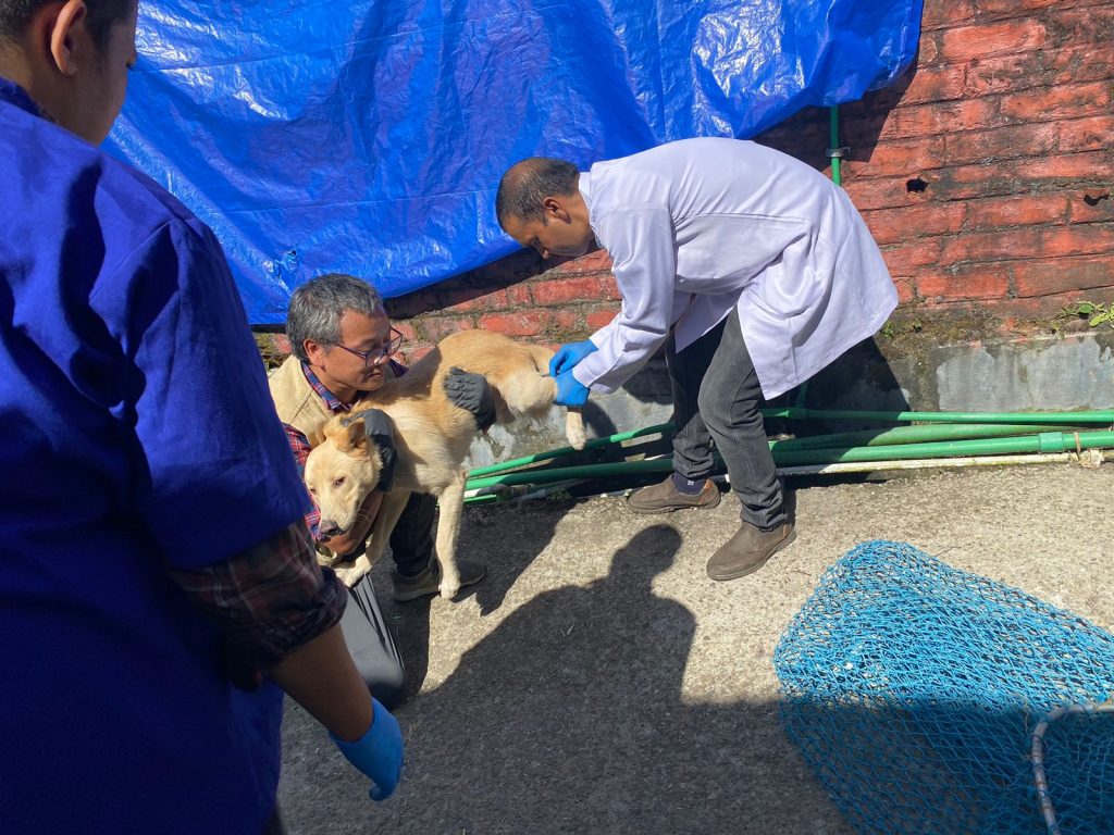 Anti Rabies Vaccination Drive on World Rabies Day – Tibetan Health